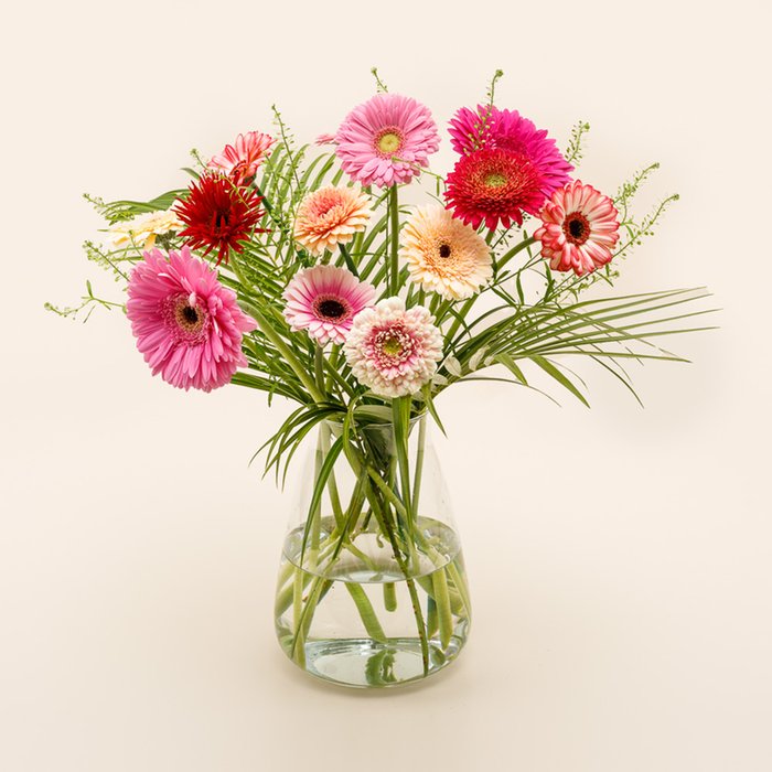 Boeket Germini mix | Greetz
