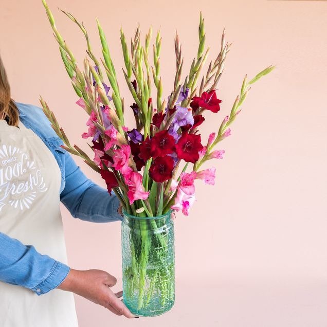 Boeket Gladiolen | Greetz