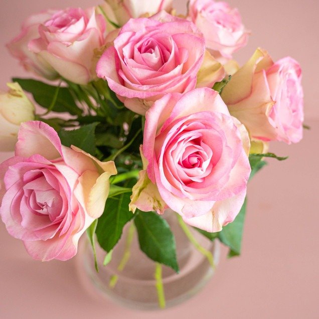 Brievenbus Rozen roze | Greetz