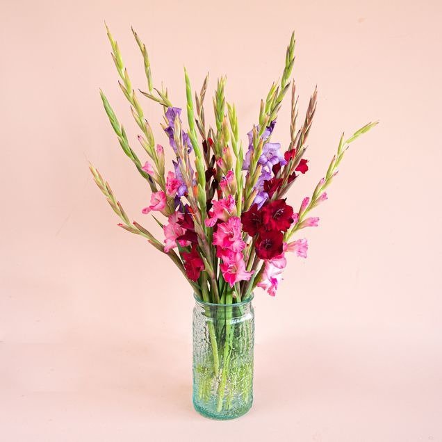 Boeket Gladiolen | Greetz