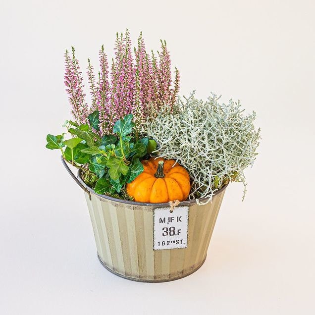 Herfst Arrangement | Greetz
