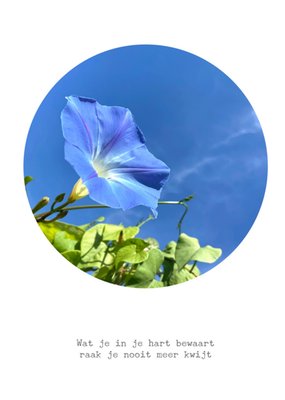 Rouwkaart of condoleance kaart online maken versturen - Page 16 | Greetz