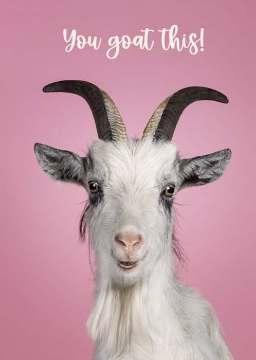 Catchy Images | Succeskaart | You goat this! | Grappig | Greetz