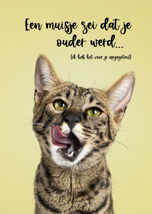 Catchy Images | Verjaardagskaart | Grappige kat | Greetz