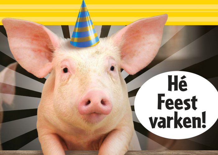 He feestvarken! | Greetz