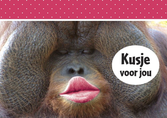 Kusje voor jou | Greetz